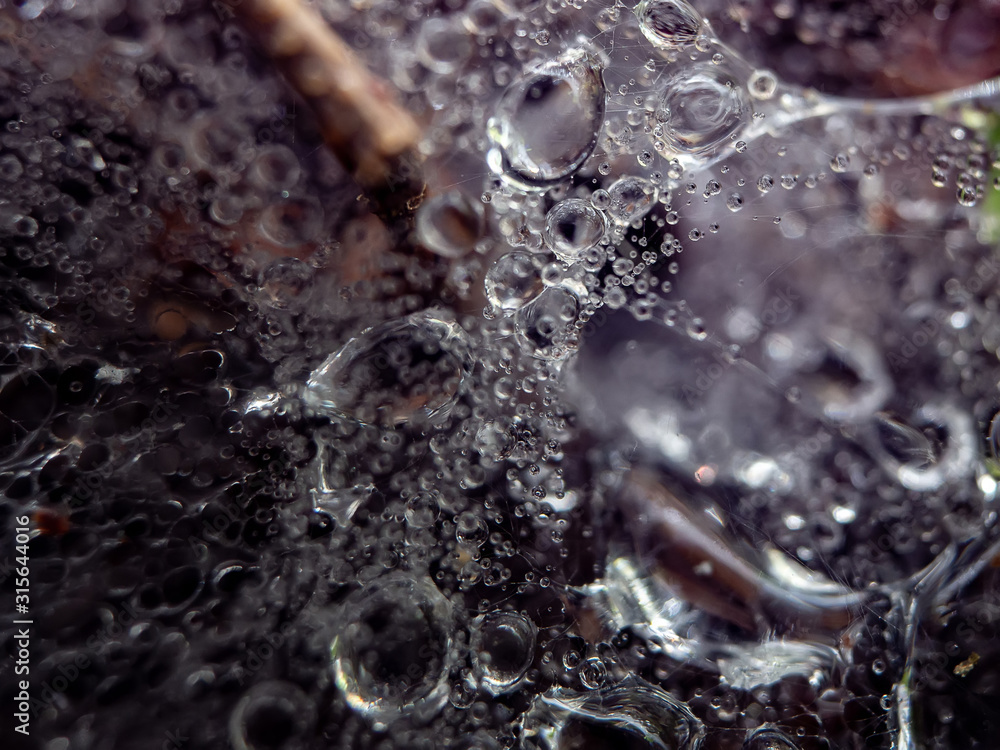 textura gotas agua Stock Photo | Adobe Stock