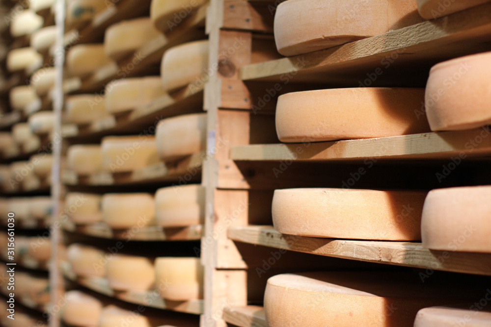 maturing of cheese wheels on traditional wood shelves, Jura, France ...