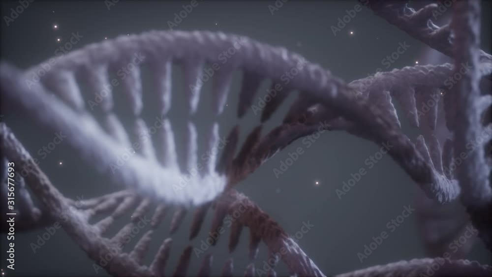 double helical structure of dna strand close-up animation Stock Video ...
