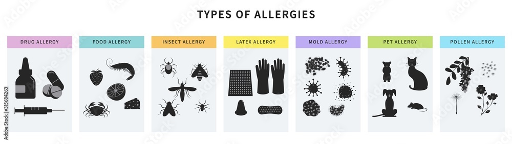 Allergy types concept for infographic. Food, animal hair, latex, drugs ...
