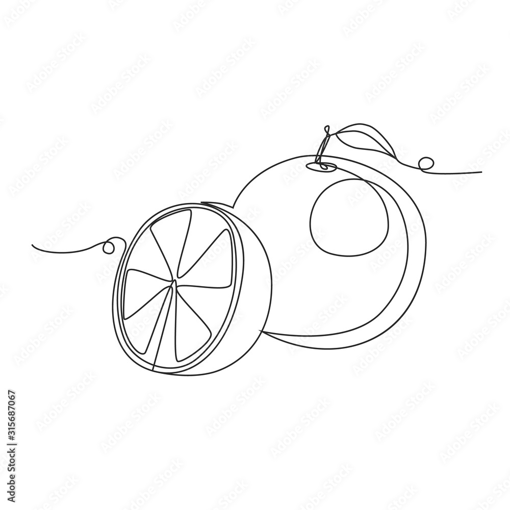 Orange one line drawing on white isolated background for grocery store ...
