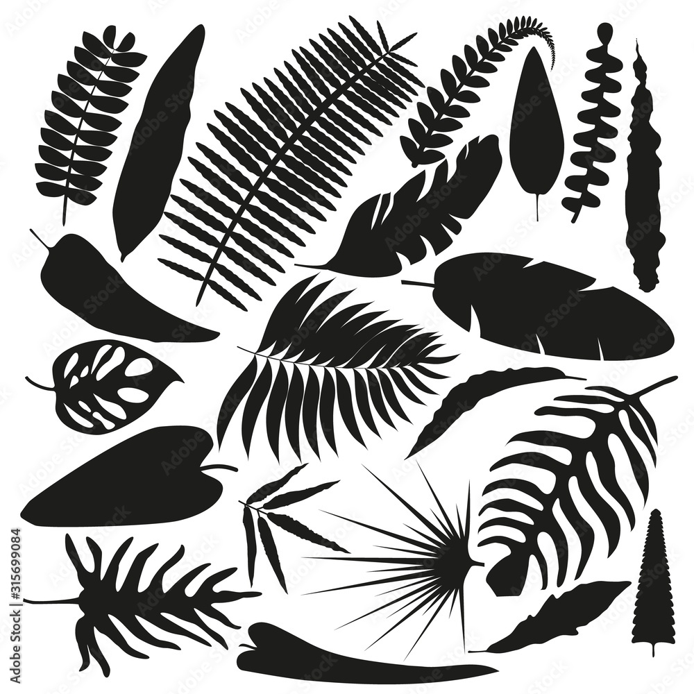 Clipart Leaf Shapes