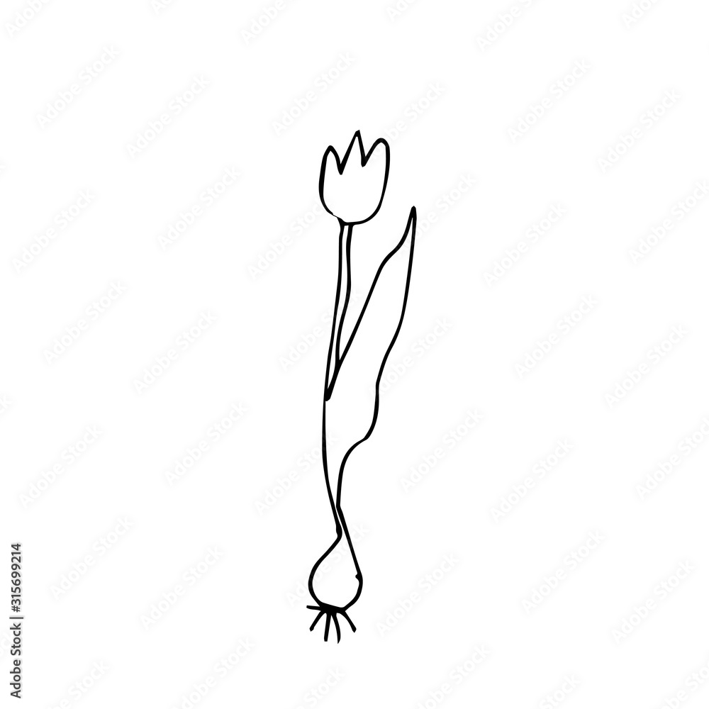Tulip Clip Art Black And White