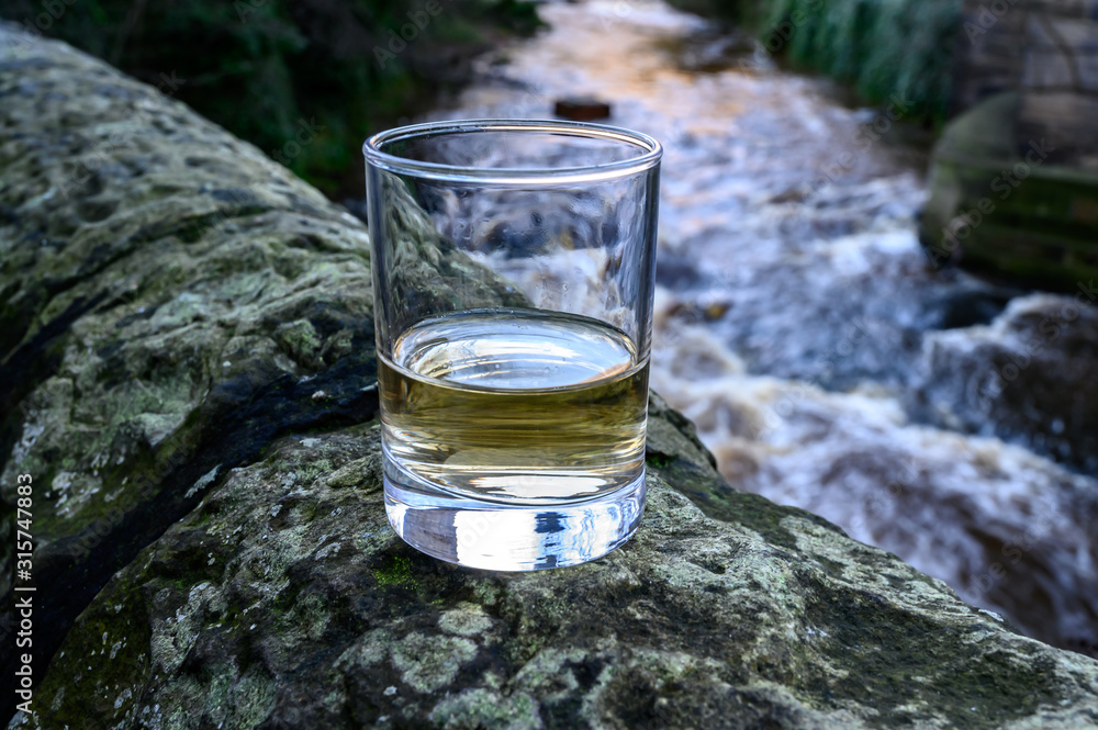 Scotch single malts or blended whisky spirits in glasses with water of ...