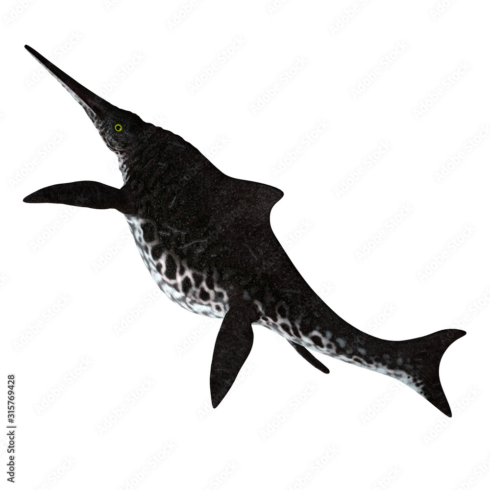 Shonisaurus Ichthyosaur Tail - Shonisaurus popularis was an Ichthyosaur ...