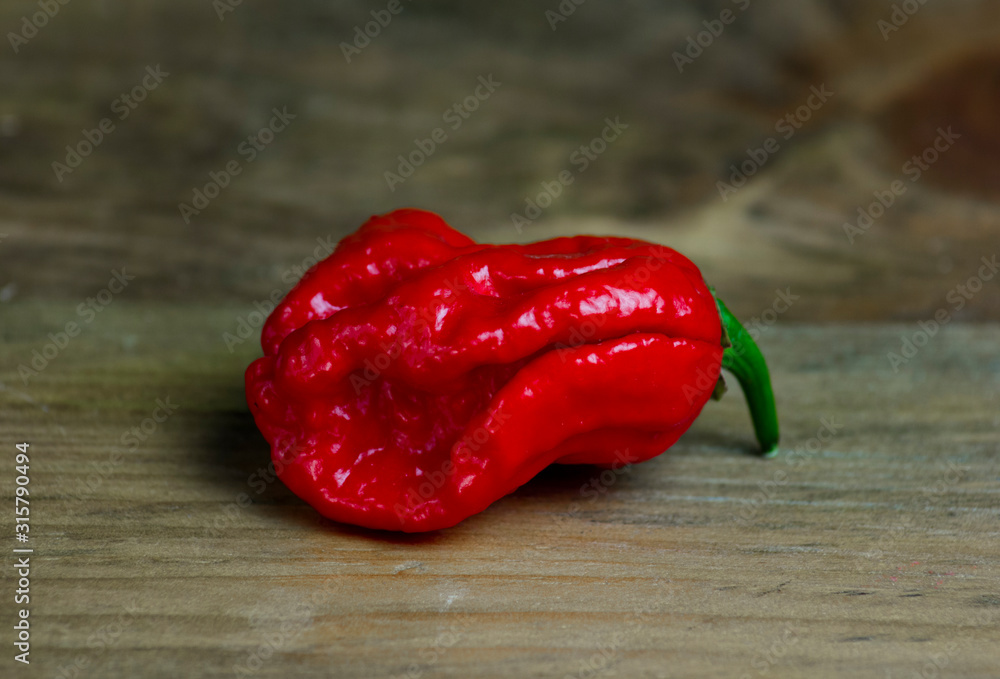 Close up photo of Trinidad Moruga Scorpion (Capsicum chinense) chili ...