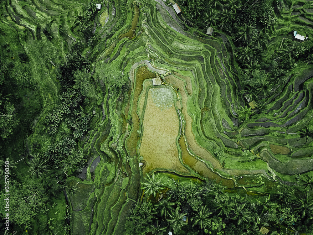 Birds eye view of green rugged hilly topography Stock Photo | Adobe Stock