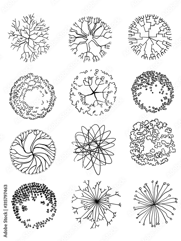 top view set graphic trees.for architecture and landscape design. for ...