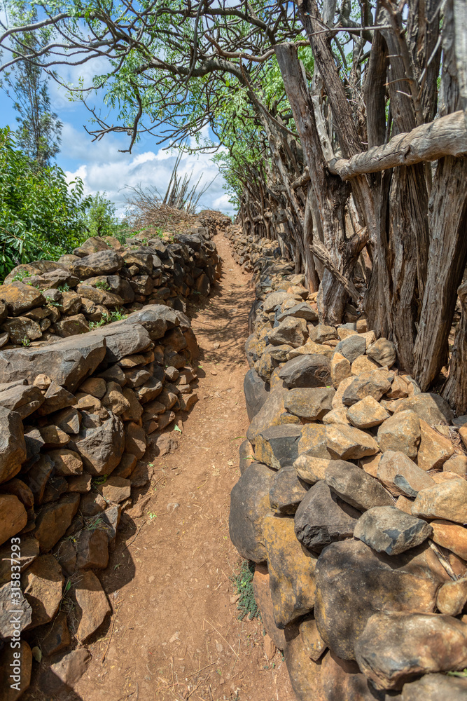 Narrow pathway in Konso, walled village tribes Konso. Africa, Ethiopia ...