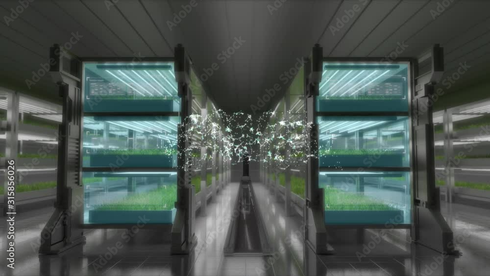 Artificial Intelligence controlled automatic plant growth factory, AI ...