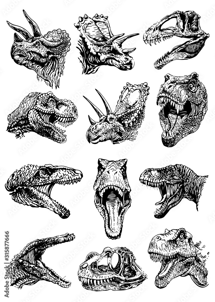 Graphical set of dinosaur portraits isolated on white background ...