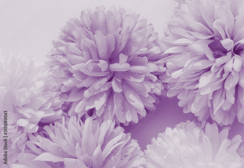 Light Purple Flowers Wallpapers