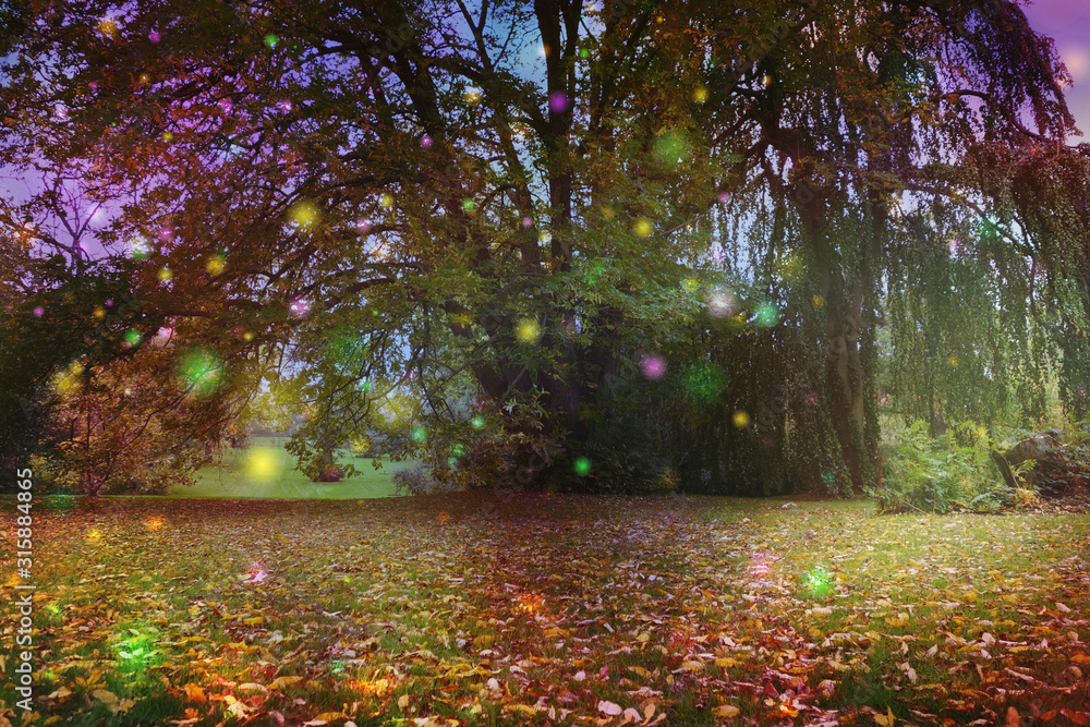 Beautiful Trees surrounded by spiritual light orbs - multicoloured ...