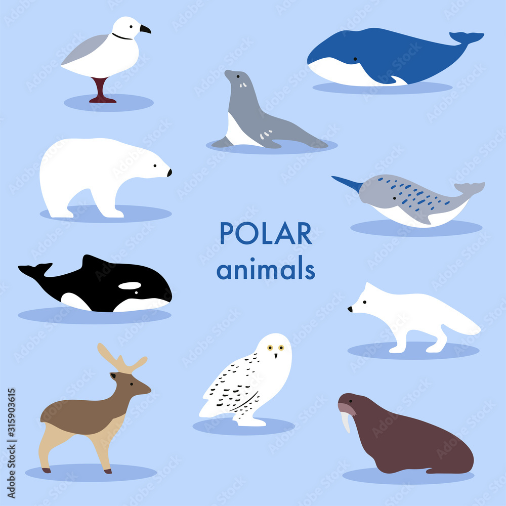 Collection of arctic animals and marine mammals. Set of cute cartoon ...