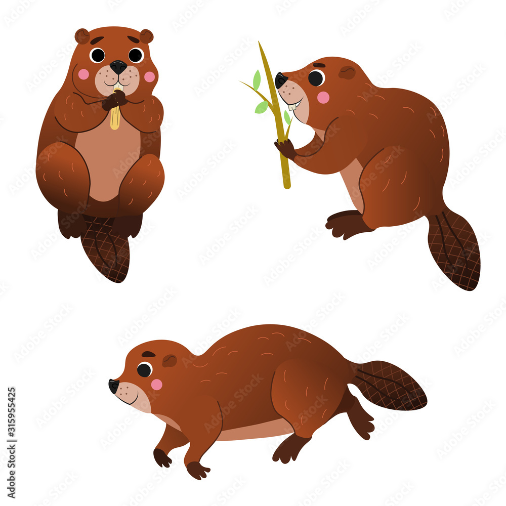 Cute cartoon wild beaver family vector image. Male and female beaver ...