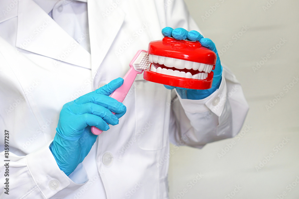 Woman dentist showing teeth cleaning rules. Dental orthodontic doctor ...