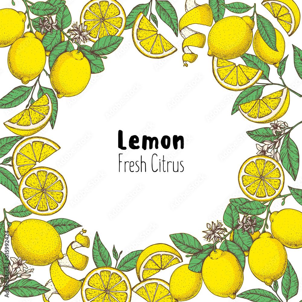 Lemon hand drawn package design. Lemon tree frame template. Vector ...