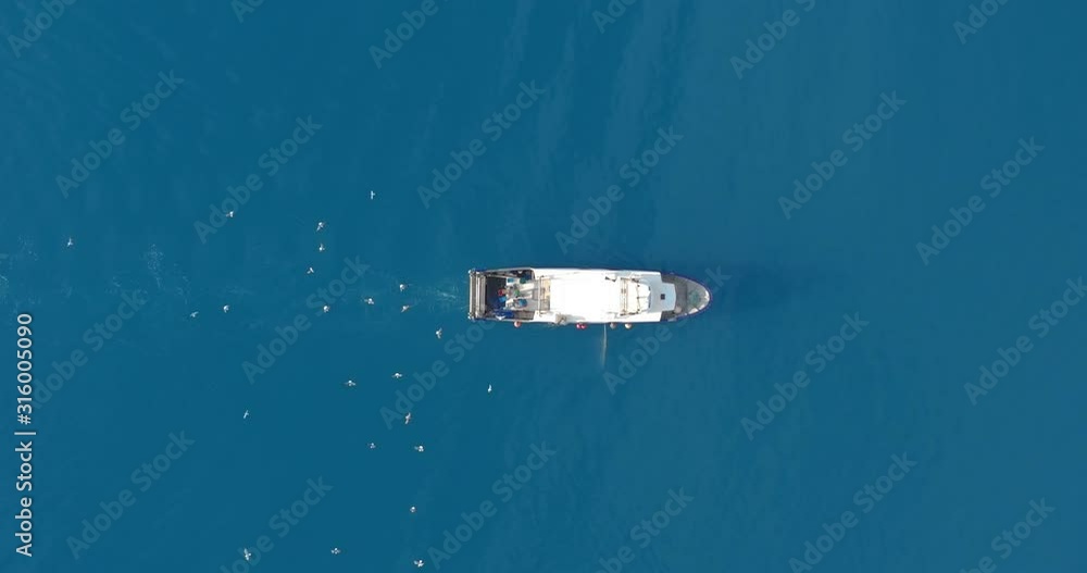 Aerial view. fishing boat with large catch fish swirling hungry gulls ...