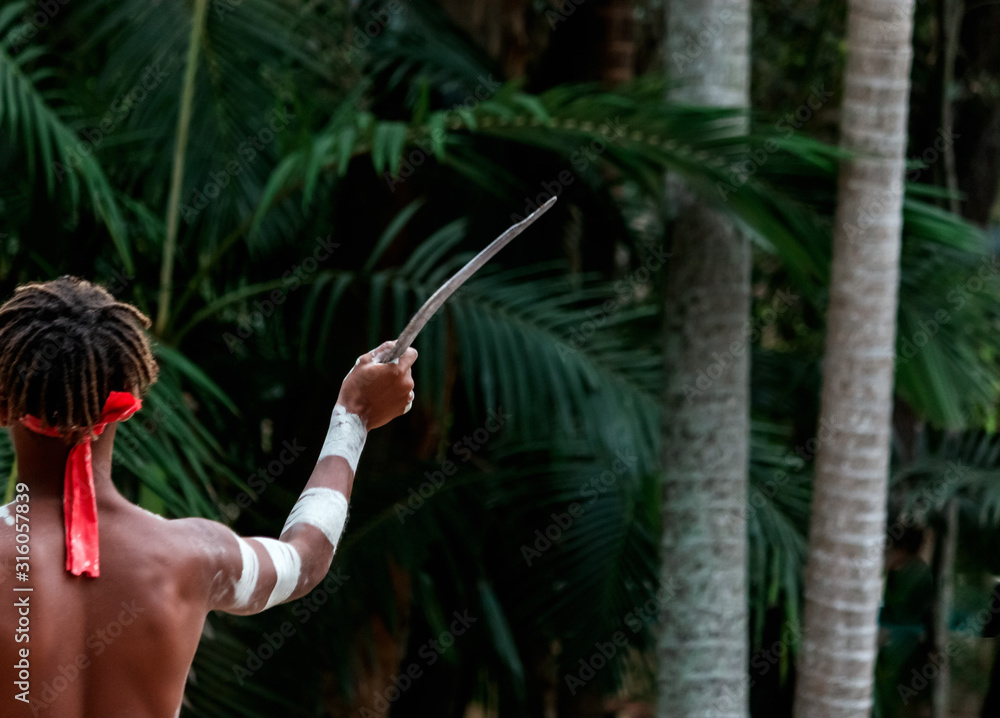 Australian Aborigine culture traditional dance with body paint and hand ...