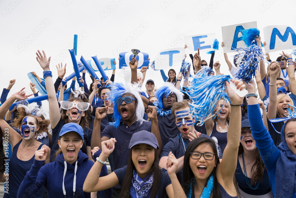 Cheering Sports Crowd