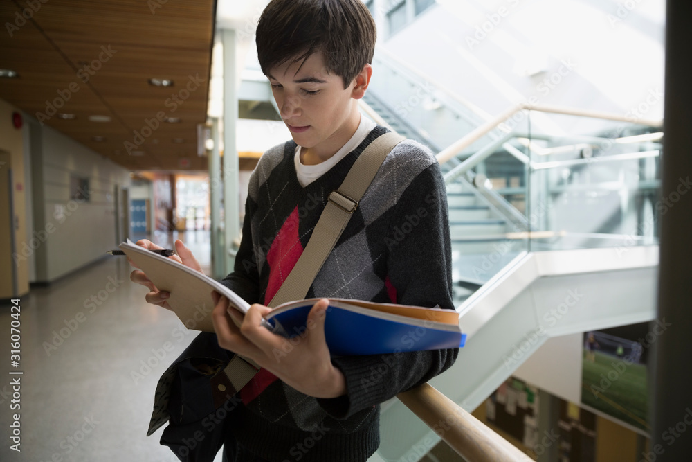 High school student reviewing notes in school corridor Stock Photo ...