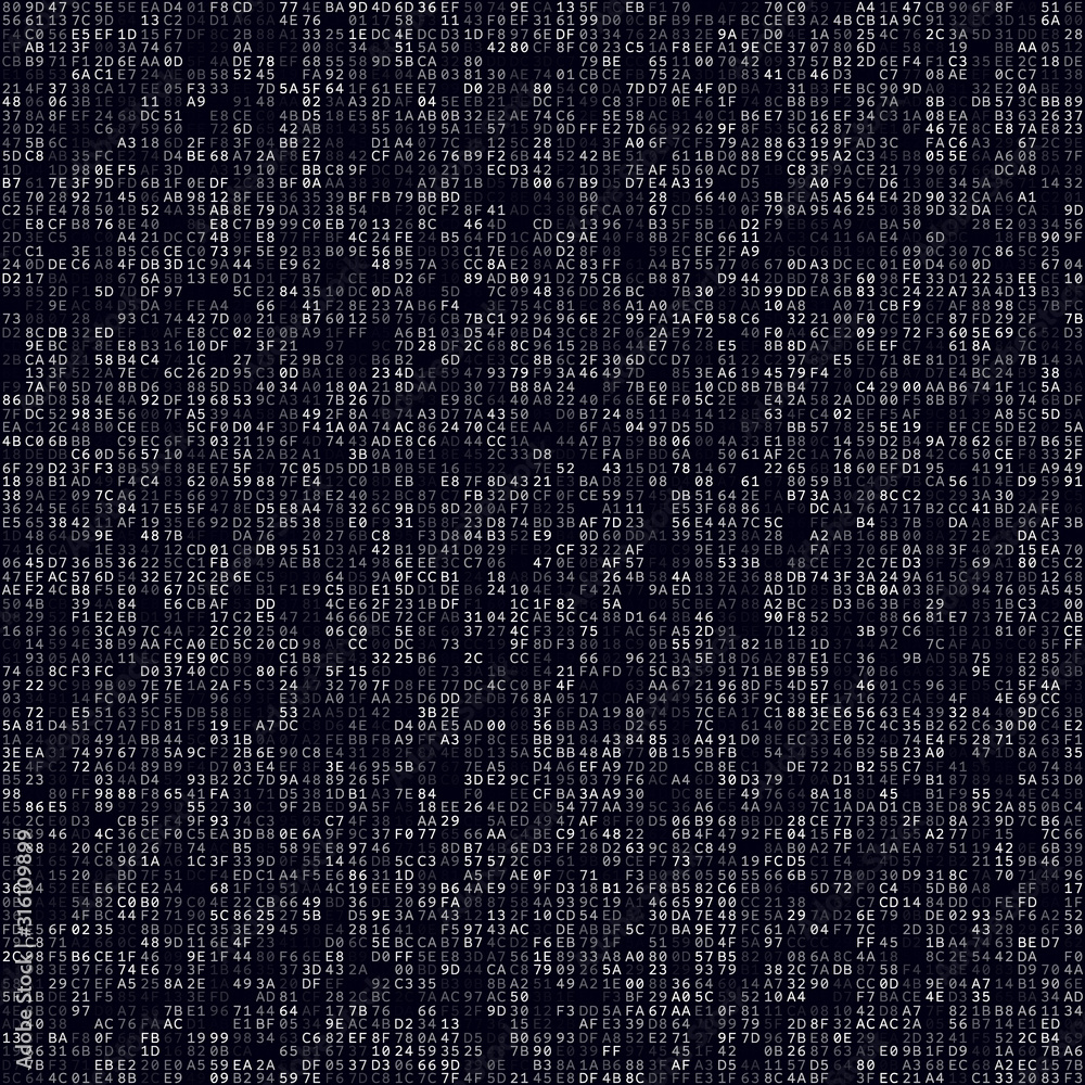 Matrix background. White filled hexademical pairs background. Big sized seamless pattern ...