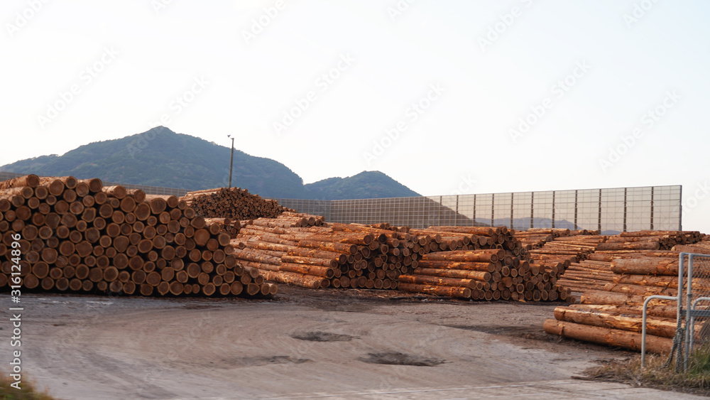 Wood mining. wooden sawn logs in an open-air warehouse. stacked wooden ...