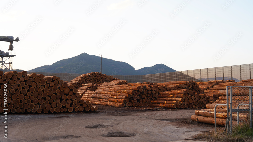Wood mining. wooden sawn logs in an open-air warehouse. stacked wooden ...
