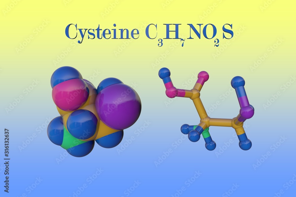Structural chemical formula and molecular model of cysteine, a ...