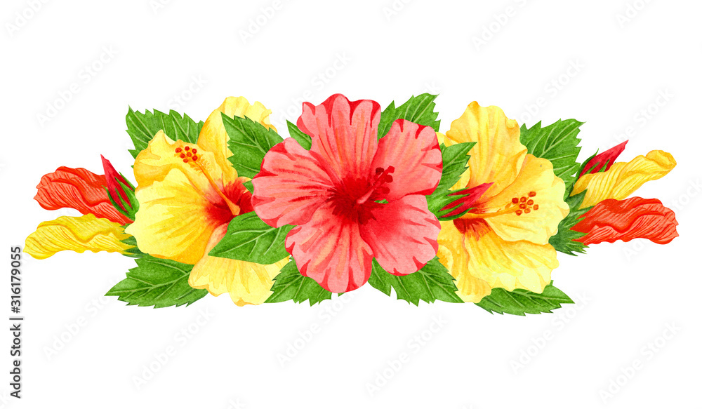 Hibiscus Flowers Clip Art Border