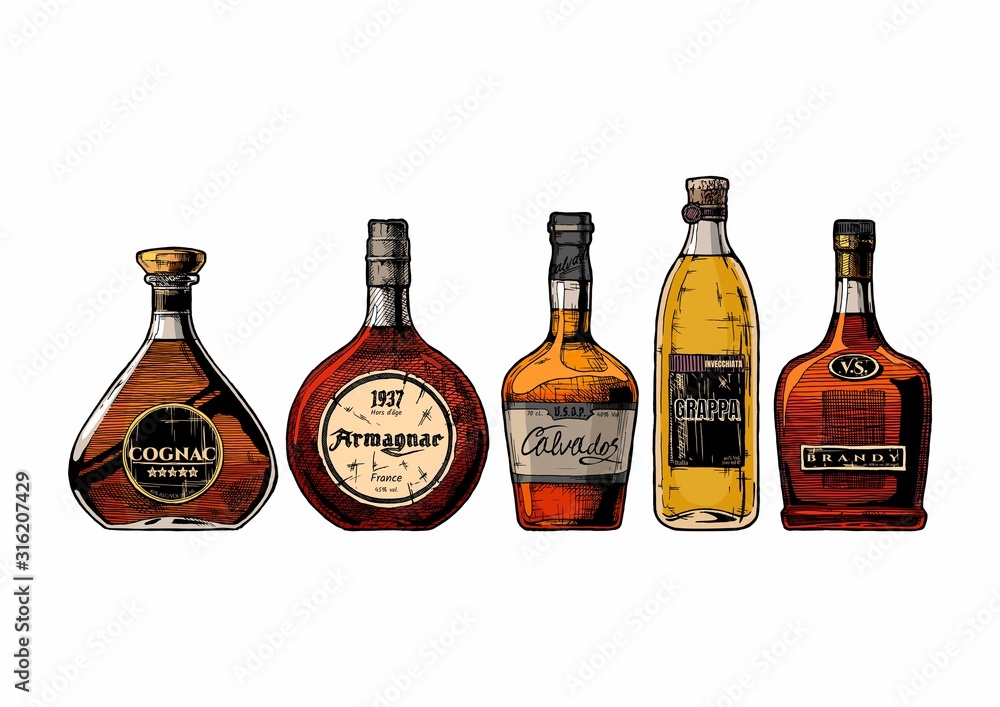 types of Brandy Stock Vector | Adobe Stock