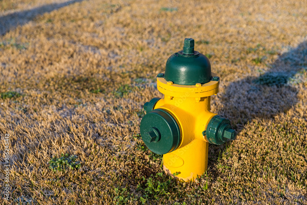 Colorful Yellow and Green Fire Hydrant used for supplying high volume ...