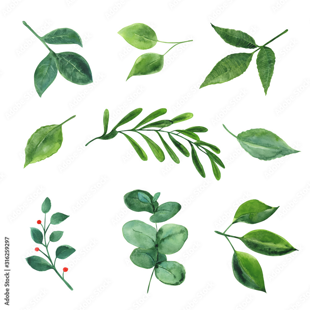 Watercolor green plants. Stock Vector | Adobe Stock