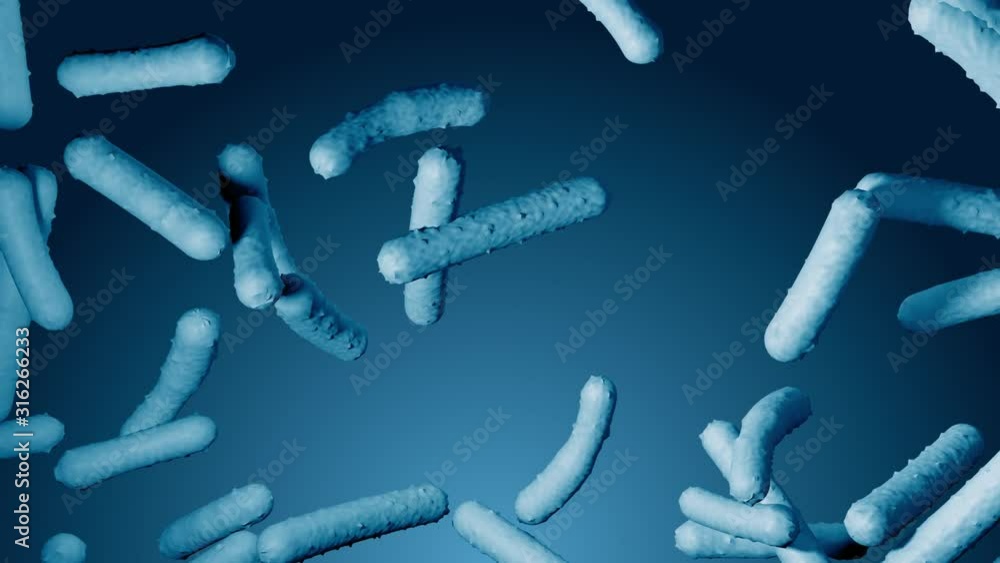 Probiotic lactobacilli under microscope. Scientific 3d medical render ...