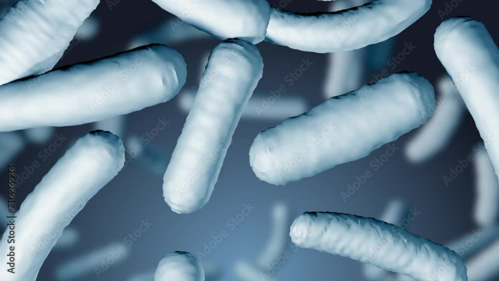 Probiotic lactobacilli under microscope. Scientific 3d medical render ...