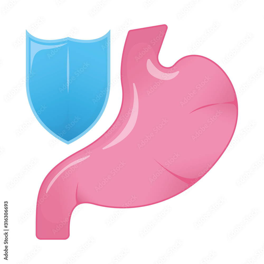 Protect Stomach Concept Icon and Label. Health Research Symbol, Icon ...