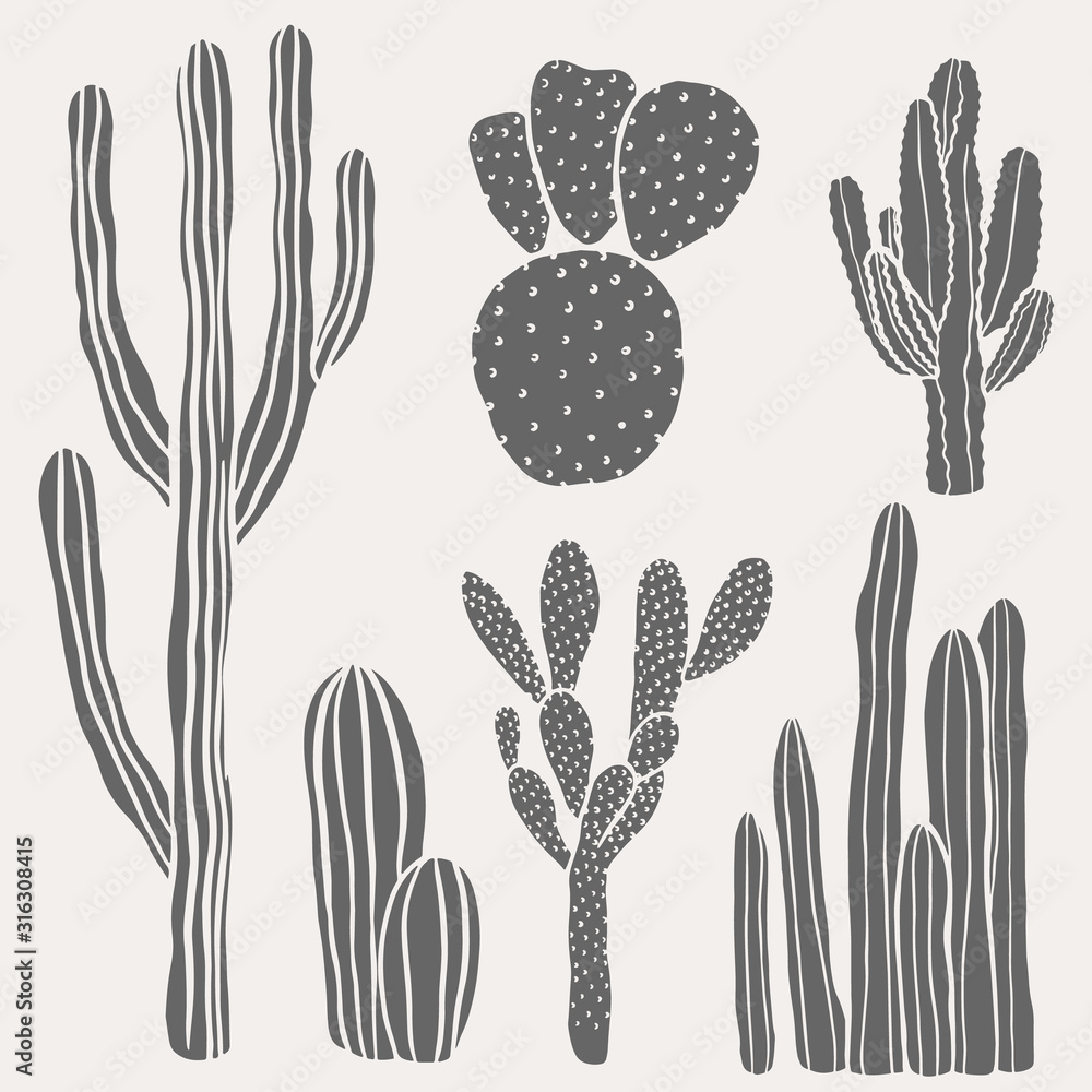 Hand drawn desert cactus set. Vintage, botanical vector illustrations ...