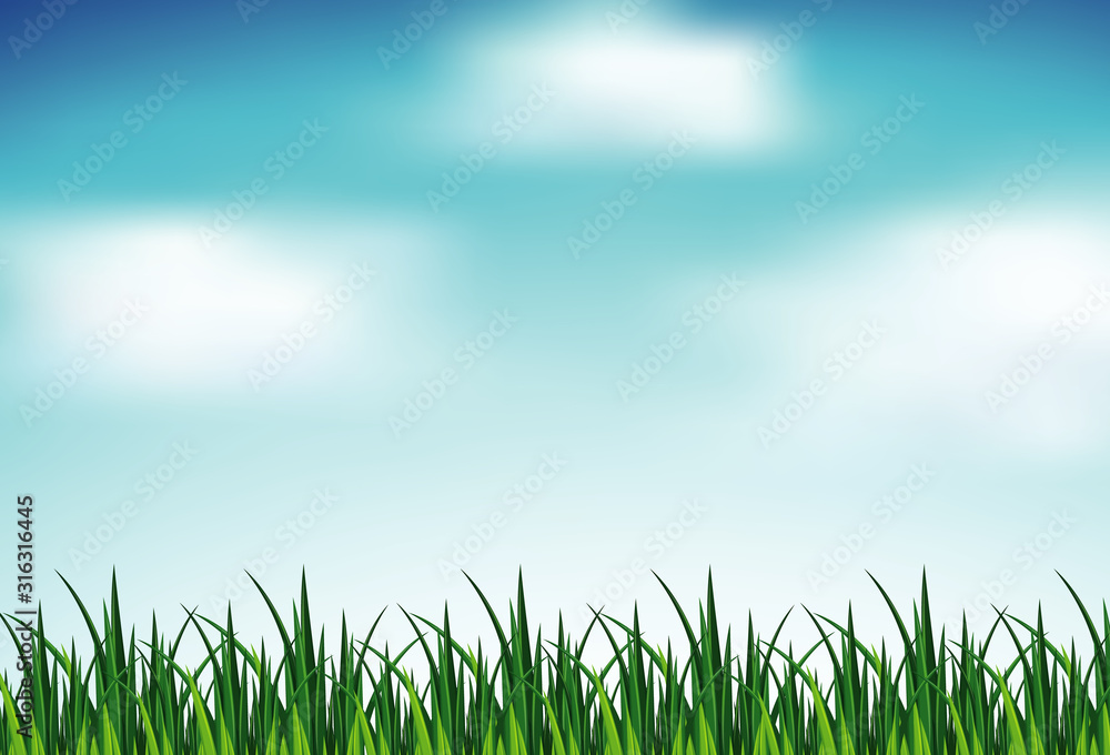 Background scene with green grass and blue sky Stock Vector | Adobe Stock