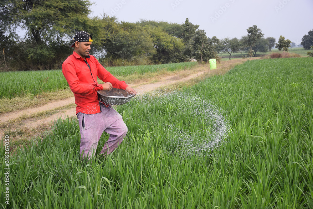 Indian Fertilizer