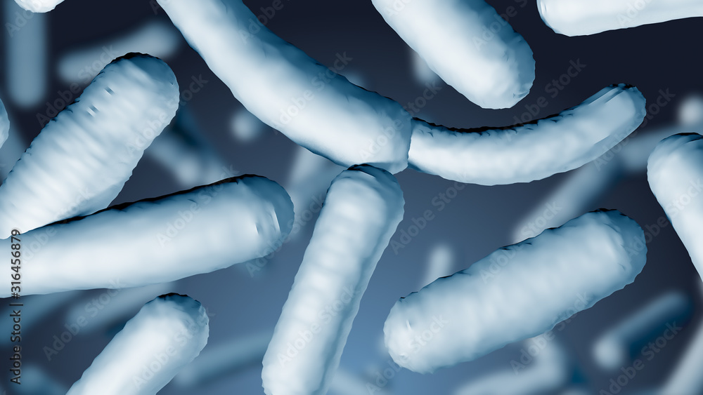 Lactobacillus Microscope