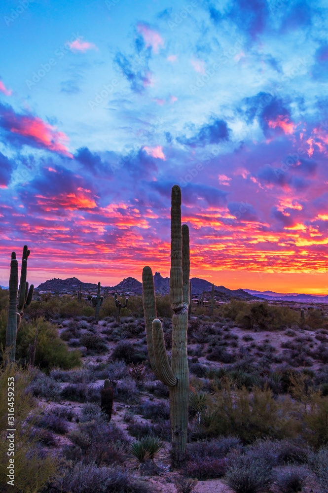 Desert Sunset Background