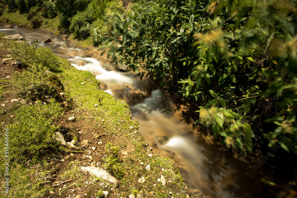 riachuelo,vegetacion rocas naturaleza Stock Photo | Adobe Stock