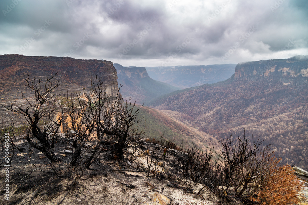Before and after images of the devastating bushfires in The Blue ...