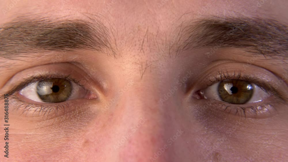 Close-up Male Human Eye. Macro Pupil Cornea Iris Eyeball Eyelashes ...
