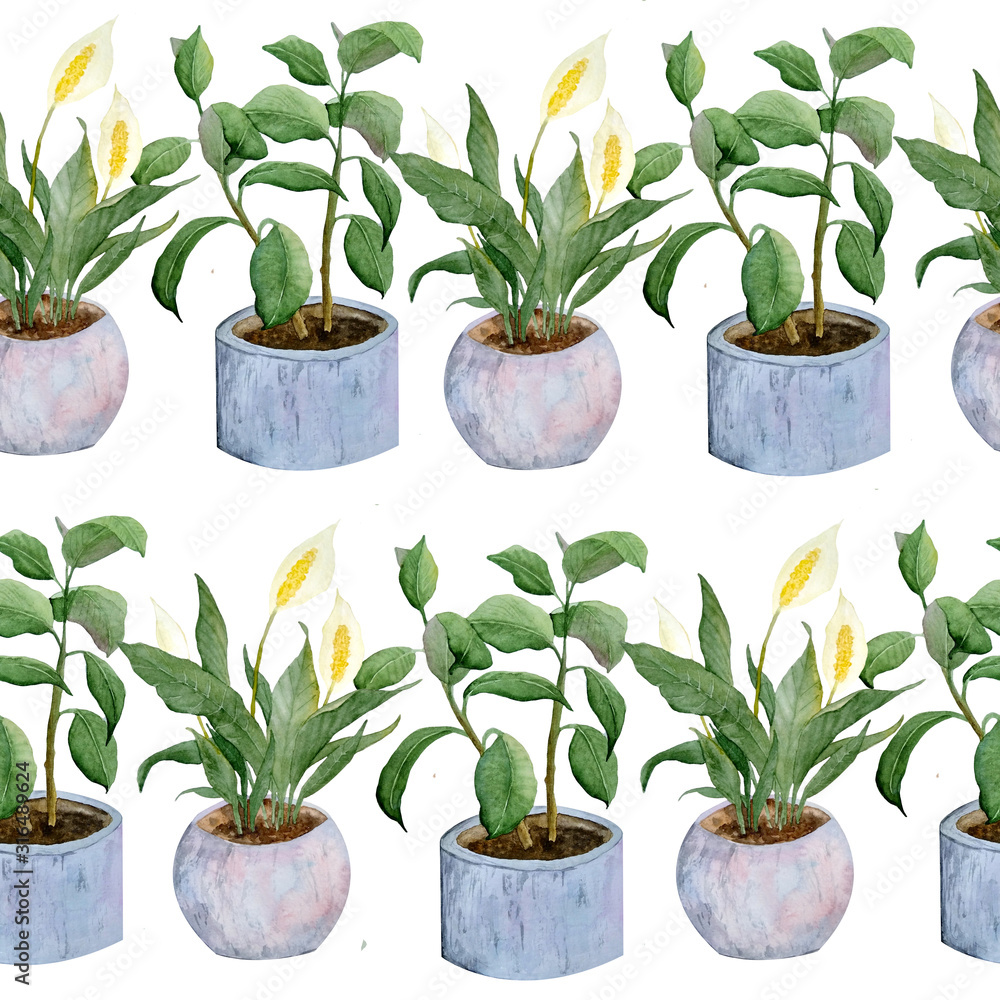 seamless watercolor hand drawn pattern with indoor potted flowers ...