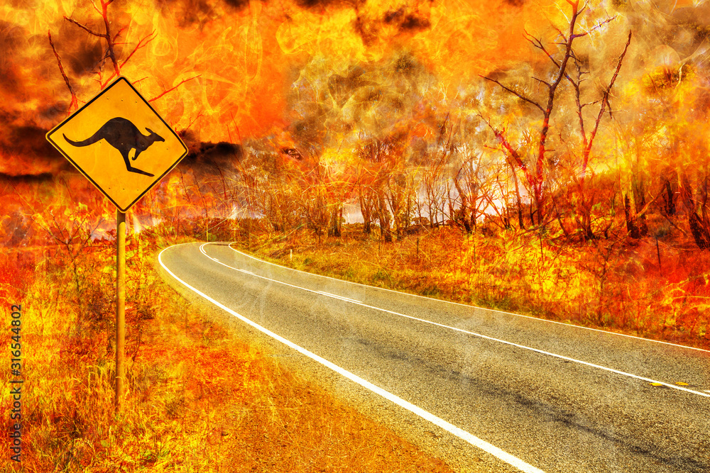 Bushfires in Australia. Warning kangaroo crossing sign on country road ...