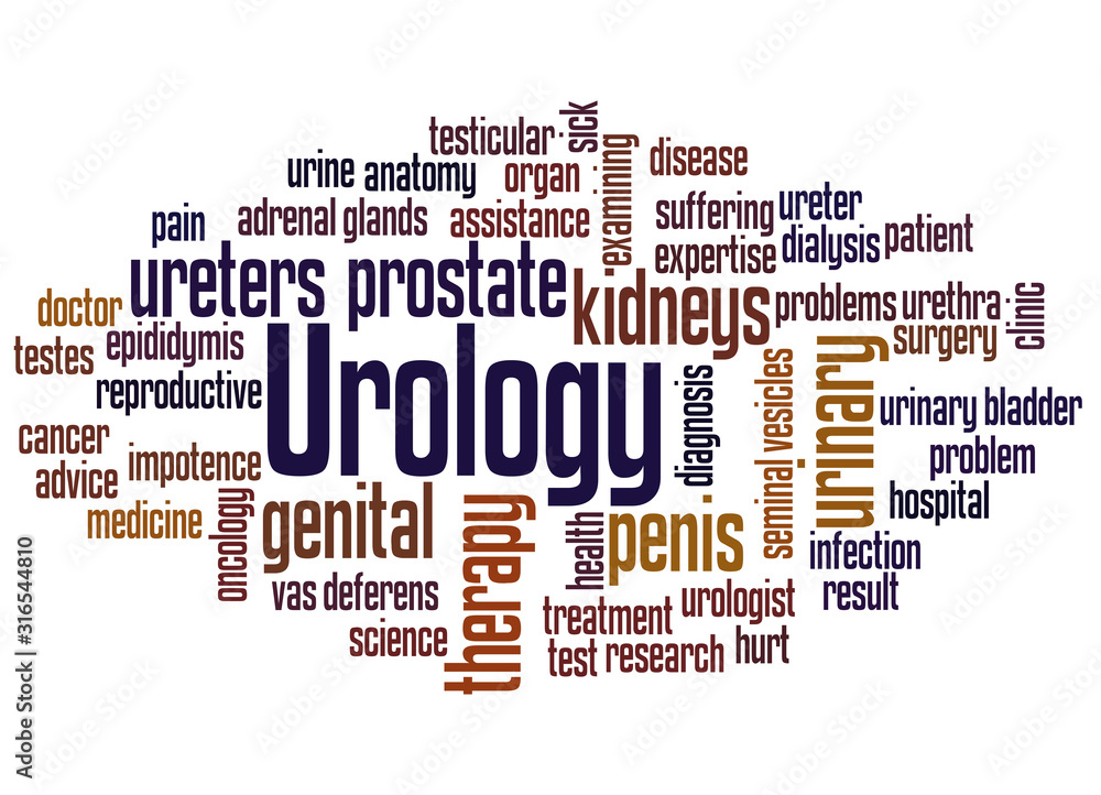 Urology word cloud concept Stock Illustration | Adobe Stock