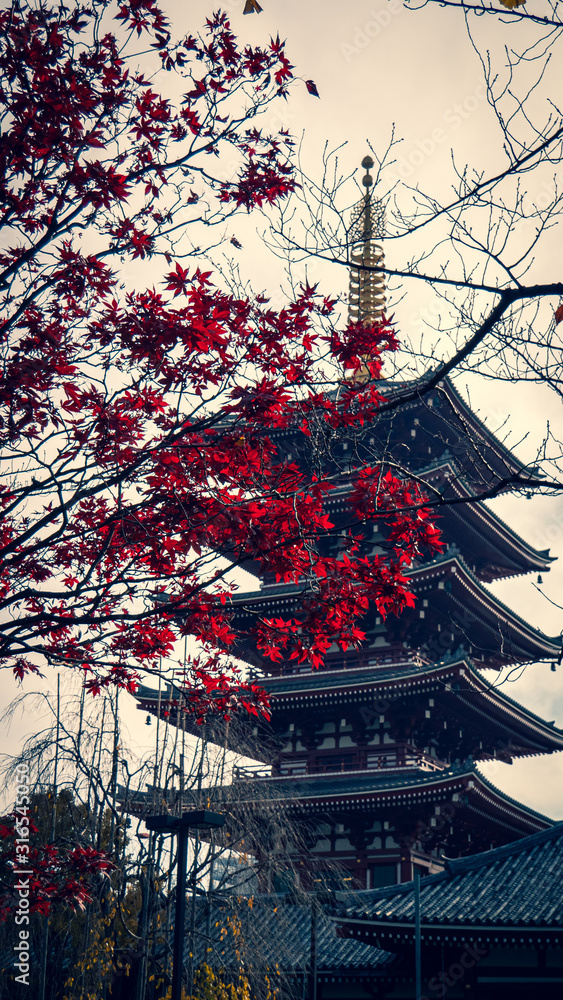 Sensoji temple with beautiful tree in Tokyo, Japan Stock Photo | Adobe ...