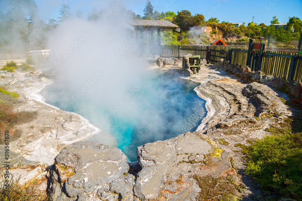 Geothermal Valley Geyser at whakarewarewa Maori Village Stock Photo ...