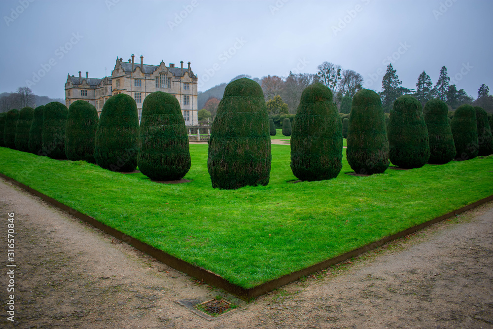 Tall round hedges creating a garden border Stock Photo | Adobe Stock